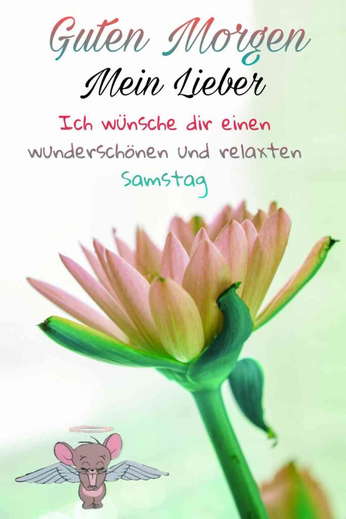 Guten Morgen Sprüche Samstag | Whatsapp Sprüche Samstag - Soupvalue