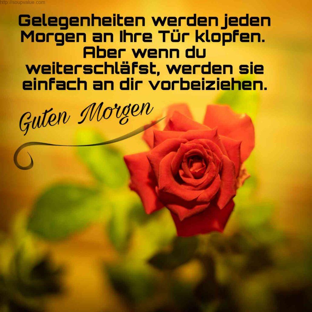 Guten Morgen Sprüche | Whatsapp Guten Morgen Sprüche - Soupvalue